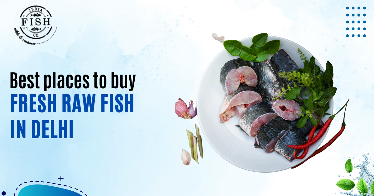 Best places to buy fresh raw fish in Delhi | Where to buy fresh fish