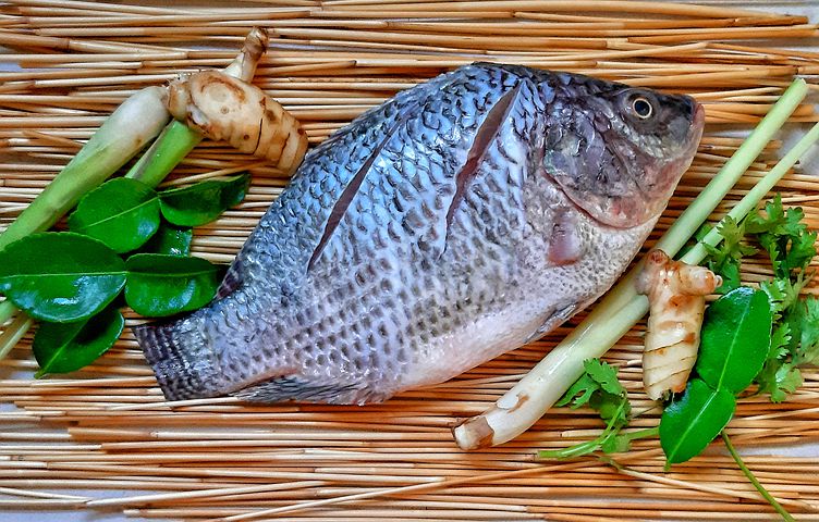 Tilapia – The Healthy Fish Choice for Every Family