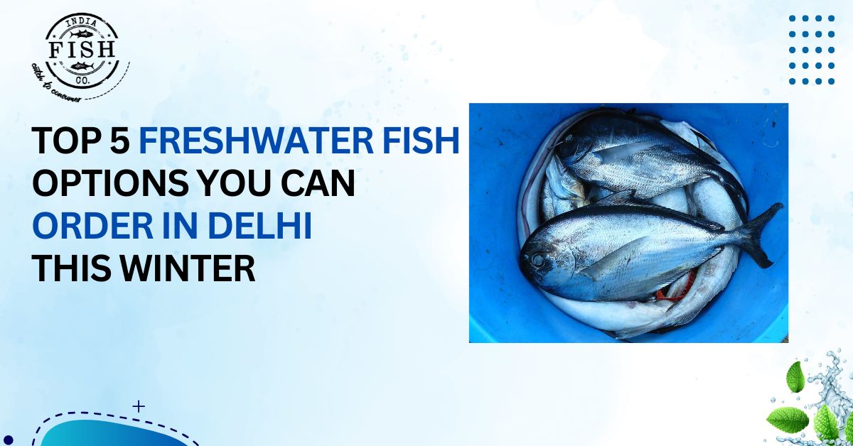 Top 5 Freshwater Fish to Order Online in Delhi This Winter