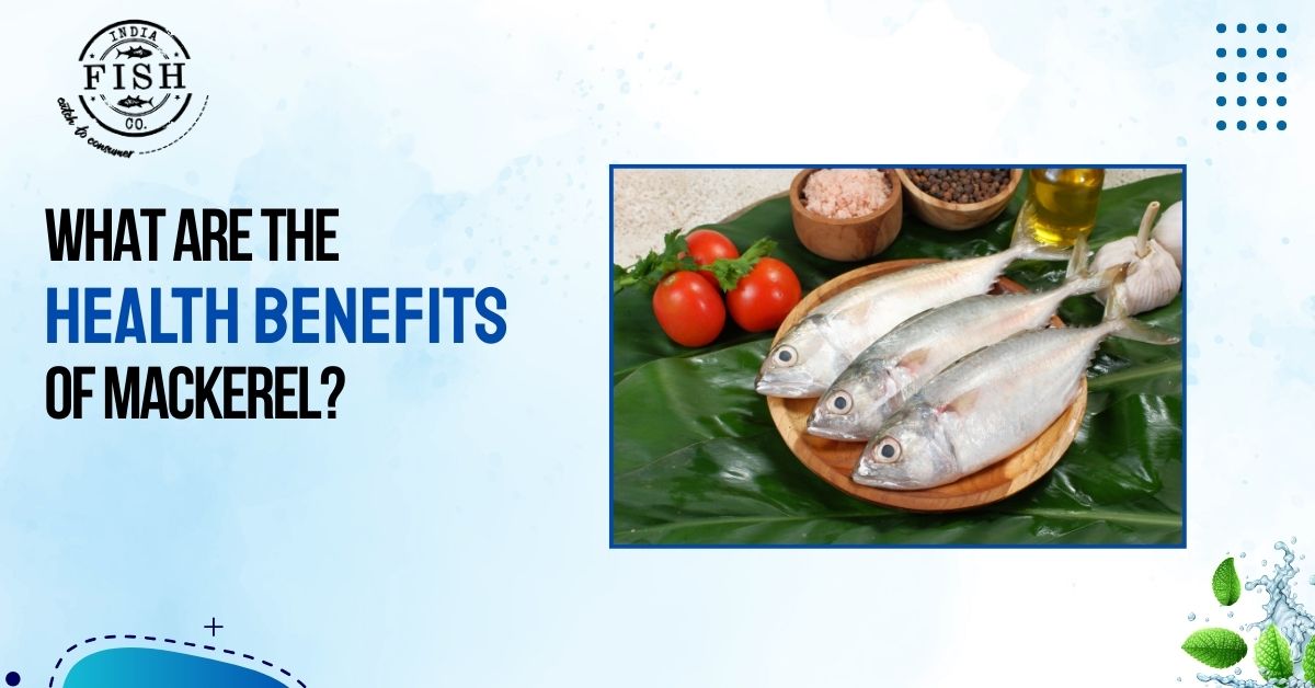 Amazing Health Benefits of Mackerel Fish for Heart and Brain