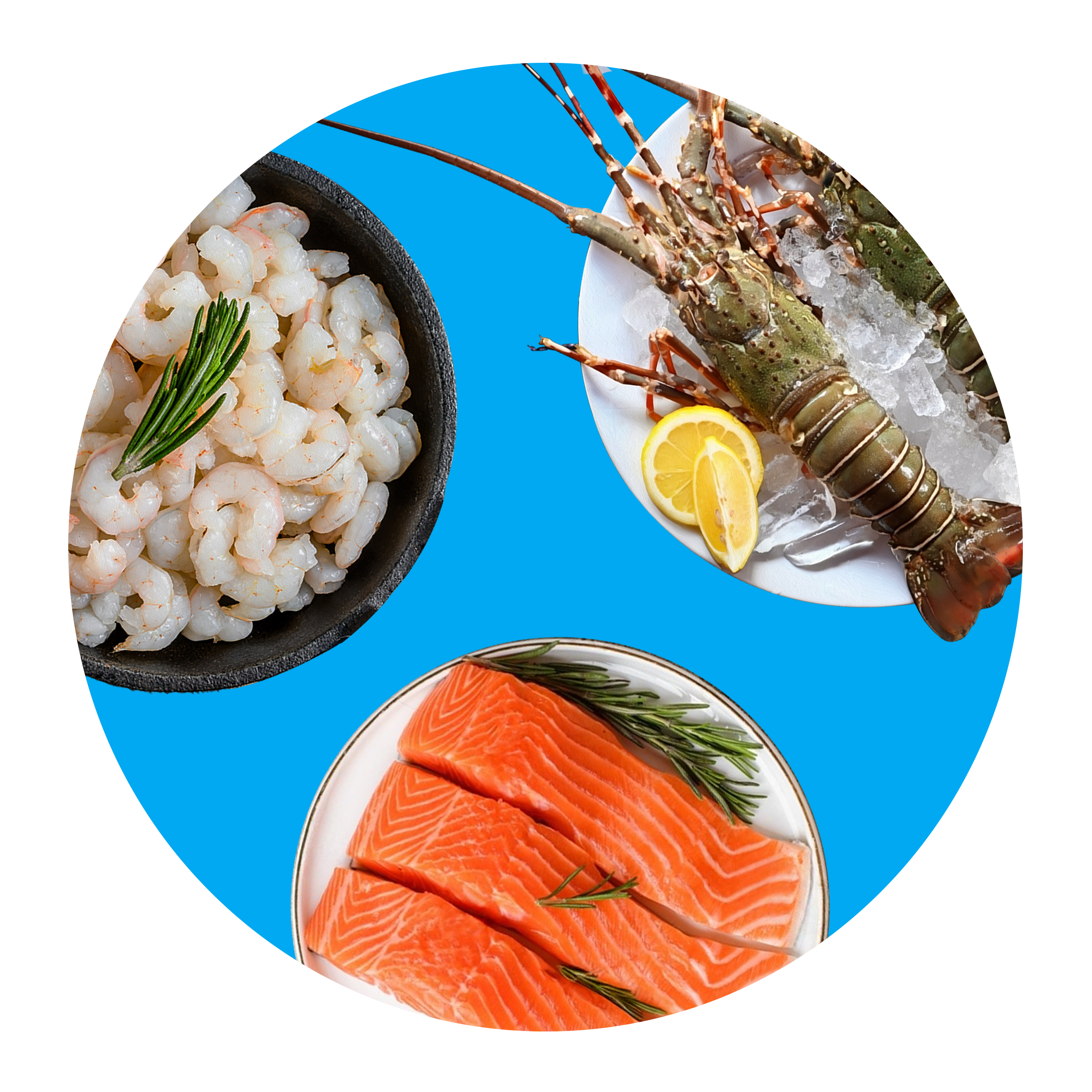 Fresh Combo Packs Online – Order Now for Quick Delivery