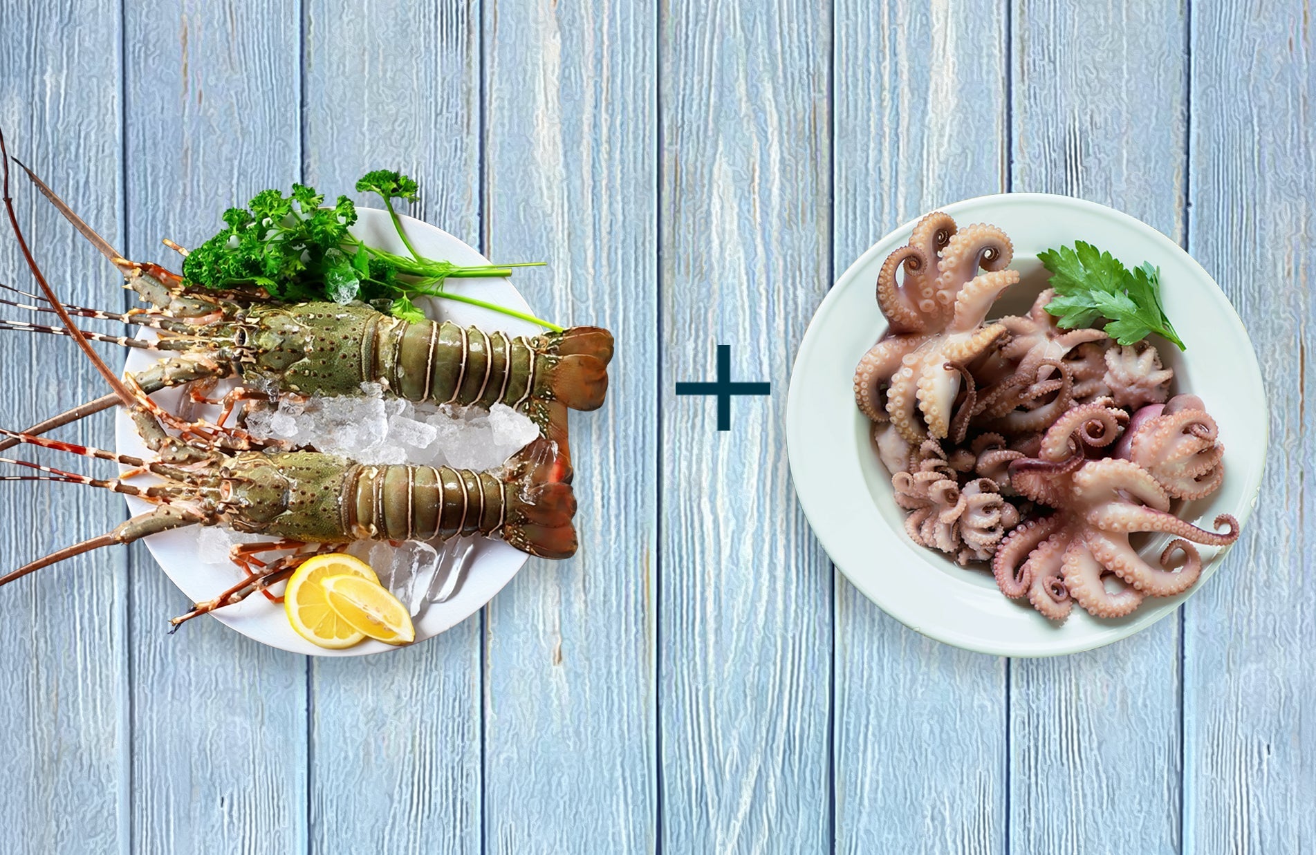 Order Whole Lobster 500g & Octopus 500g – Fresh Combo